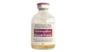 Cartrophen Vet - Healthy joints, happy pets
