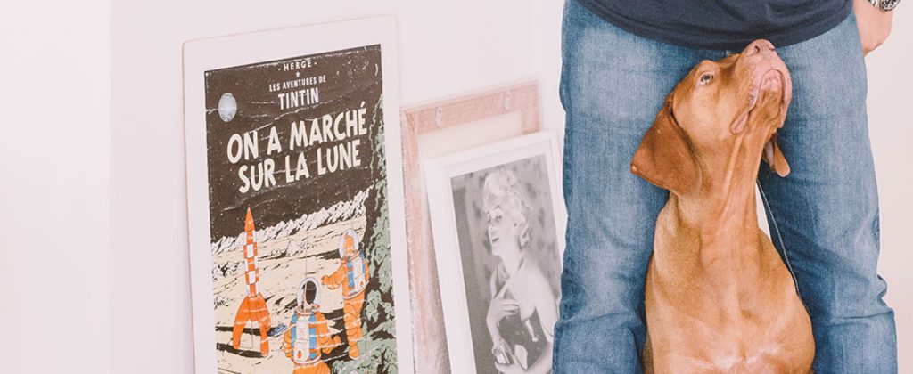 Cartrophen Vet - Healthy joints, happy pets