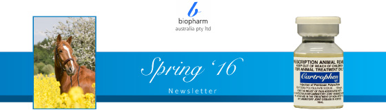 Cartrophen Vet - Healthy joints, happy pets